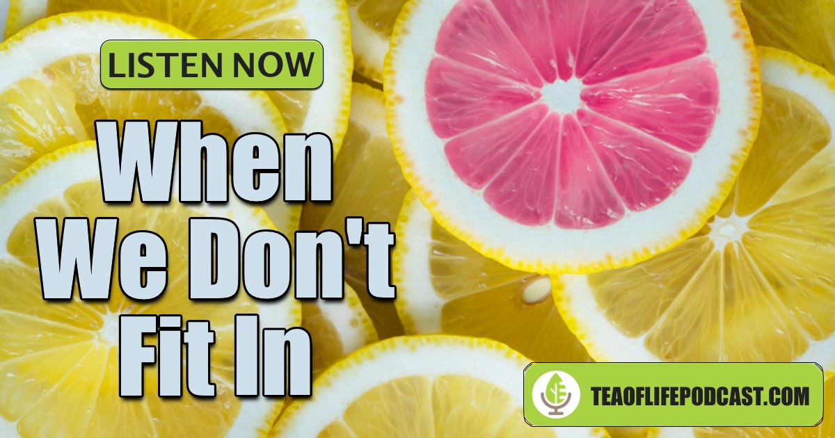 #80 When We Do Not Fit In - TEA of Life Podcast